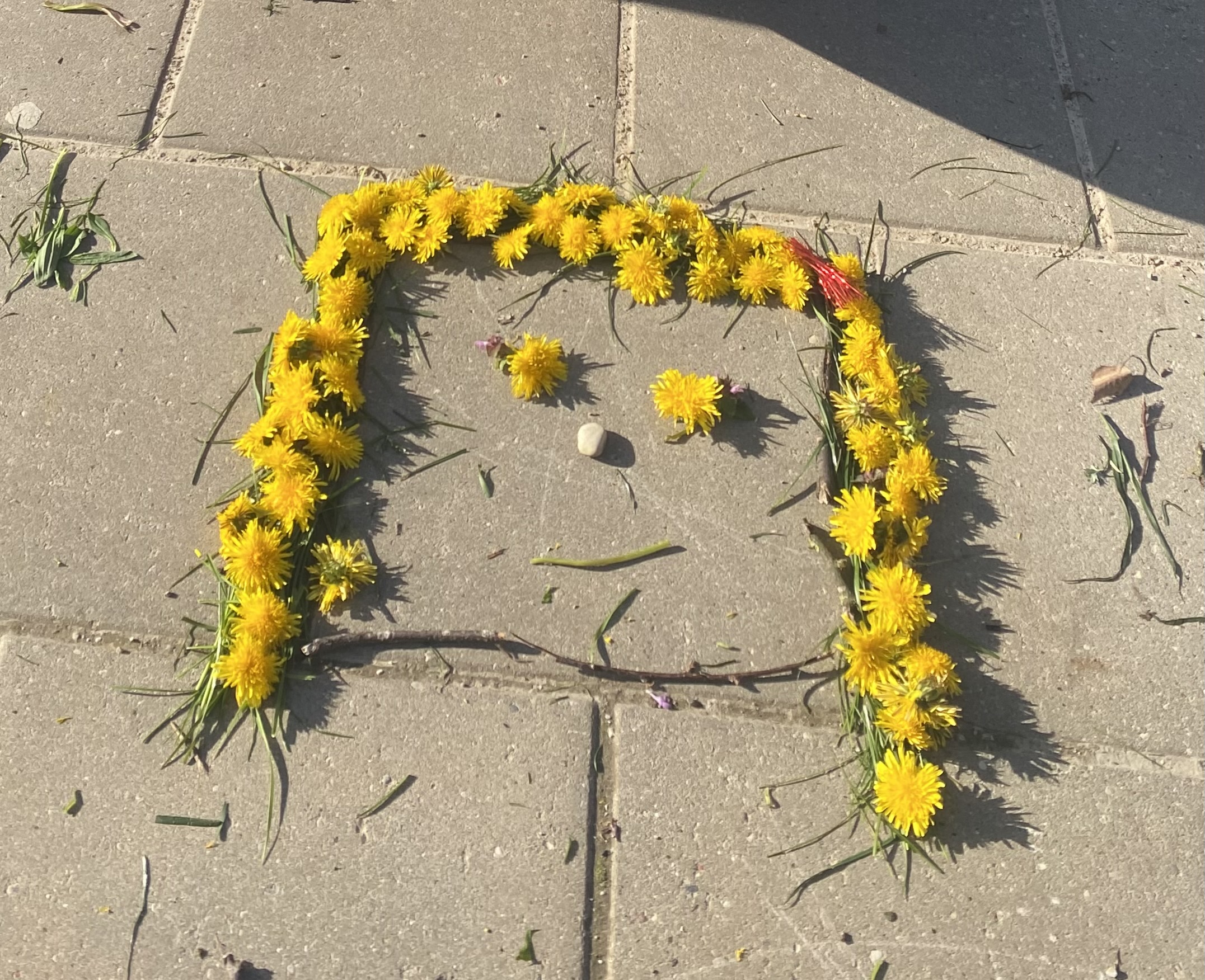 Širdies žodžiai iš gamtos - Vilnius yra mokykla